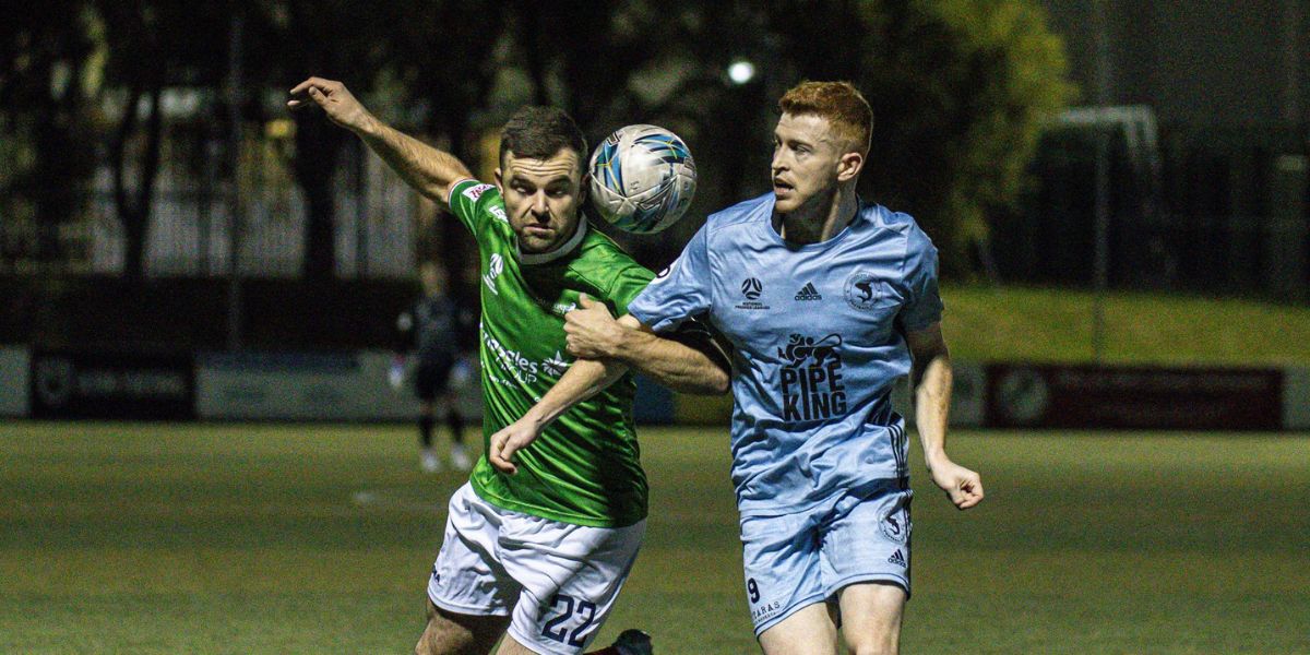 Sharks push Stallions to the limit - NPL Men's NSW